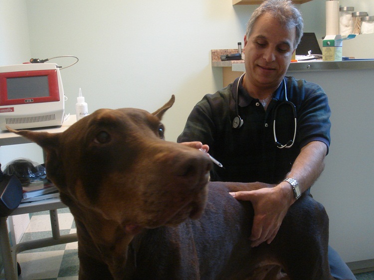 Frank J. Akawi BS, MS, MBA, PhD, DVM, CVA, CCRT | Greenfield Animal ... Frank J. Akawi BS, MS, MBA, PhD, DVM, CVA, CCRT | Greenfield Animal ...